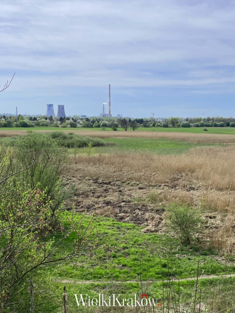 Co warto zobaczyć w Nowej Hucie? Atrakcje i zabytki