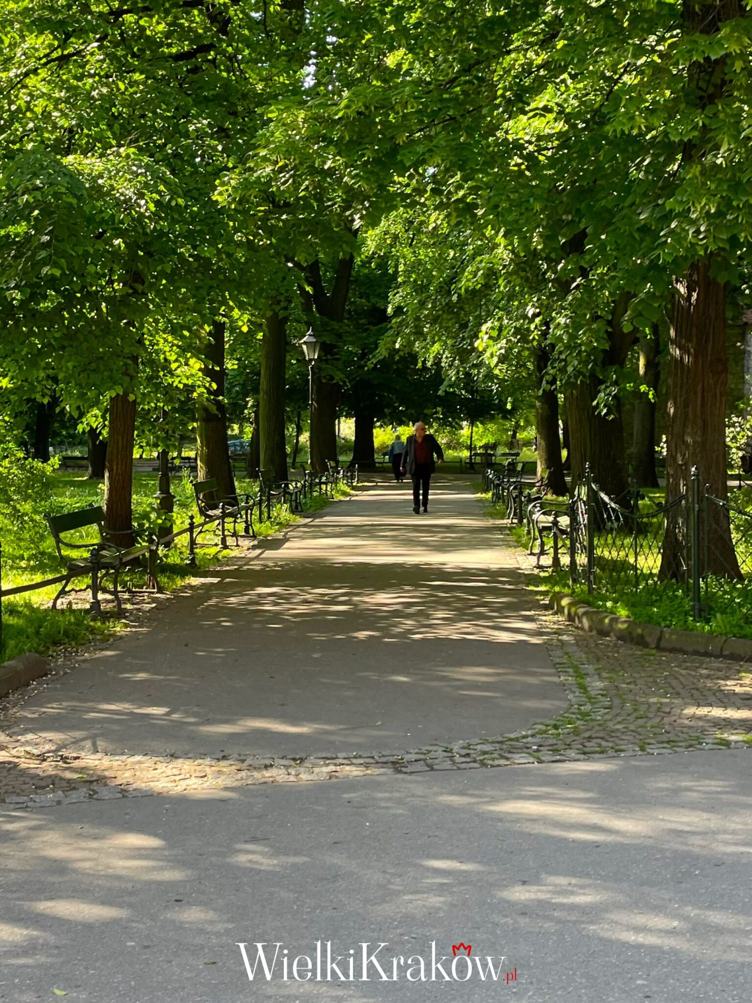 Planty w Krakowie historia atrakcje i pomniki - Wielki Kraków
