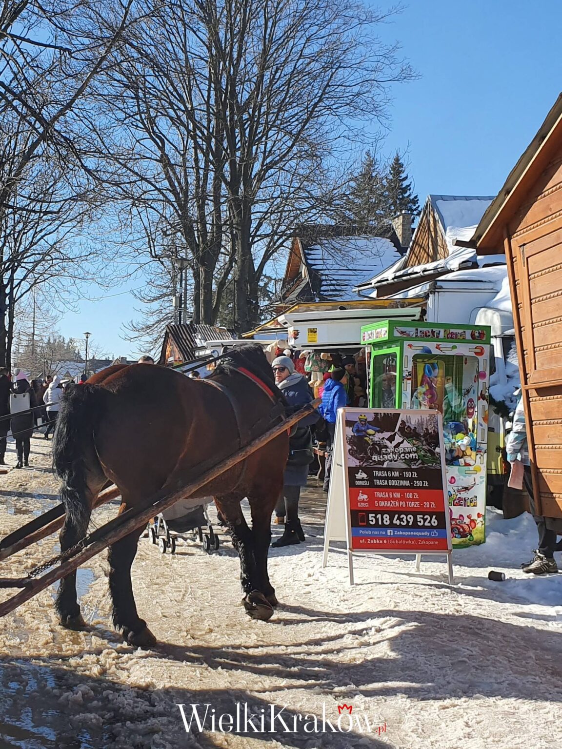 Jarmark Bożonarodzeniowy 2024 w Zakopanem. Czy jest?