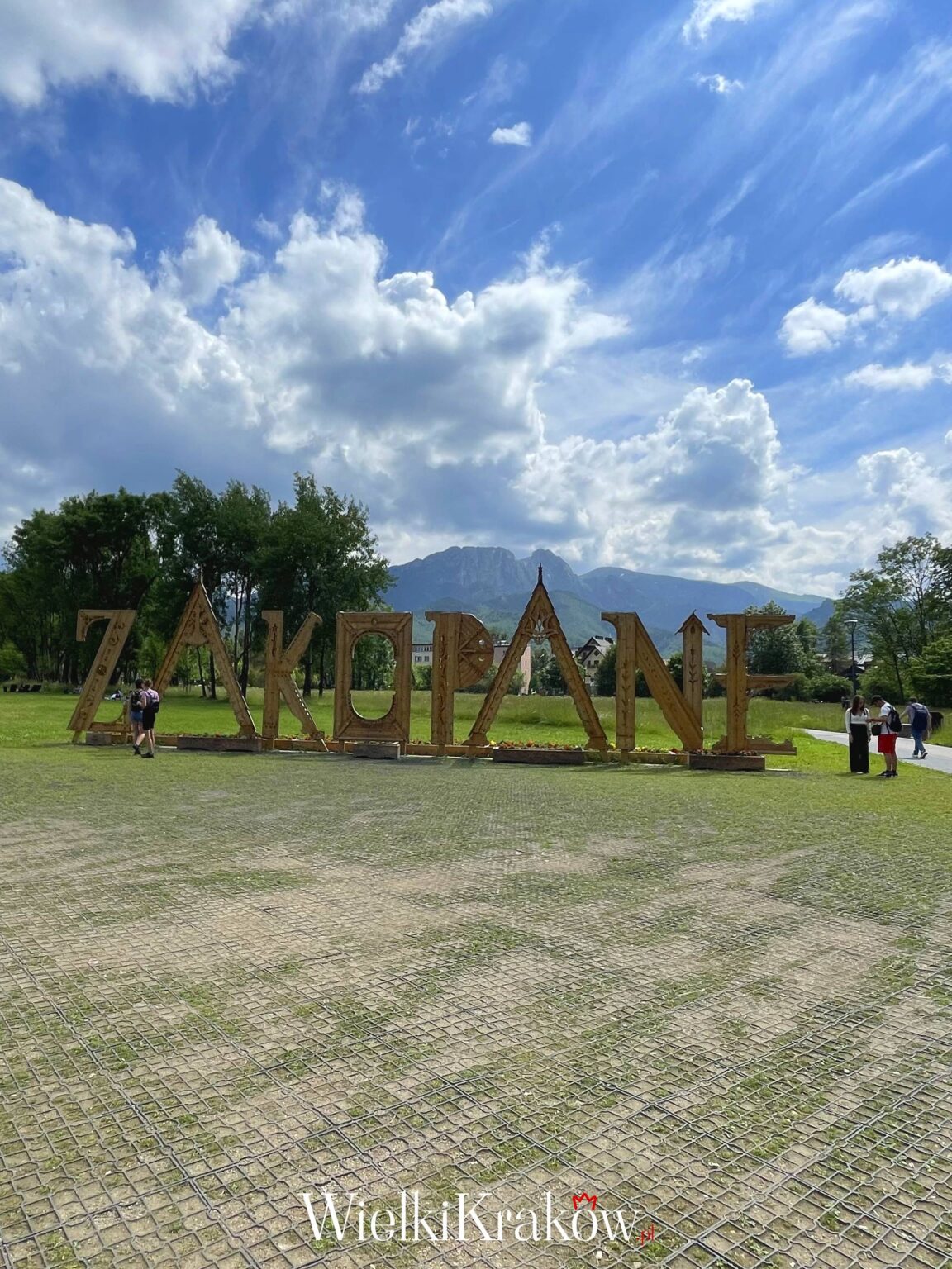 Ile kosztuje przejazd nad Morskie Oko? Cennik koni